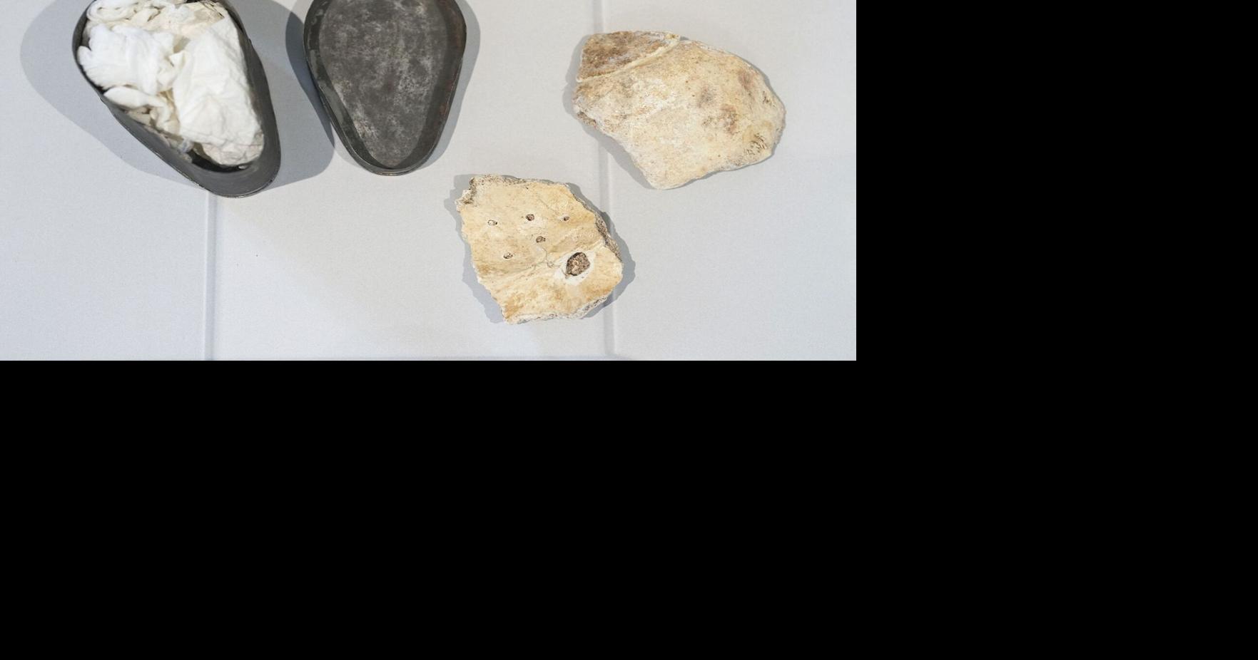 Fragments of skull believed to be Beethoven’s returned to Vienna from ...