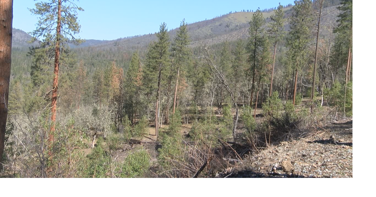 Ashland helicopter logging project impacts hiking trails | FireWatch ...