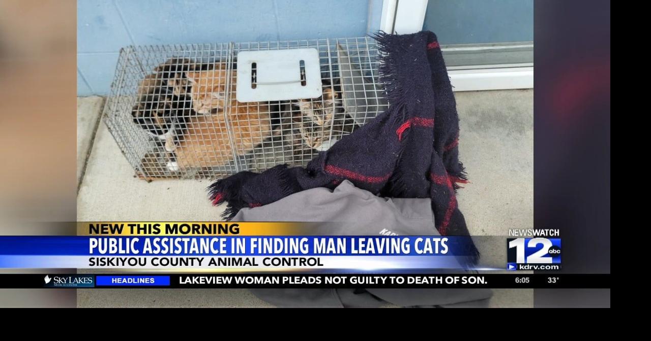 Man caught on camera dumping cats in Siskiyou County | Video | kdrv.com