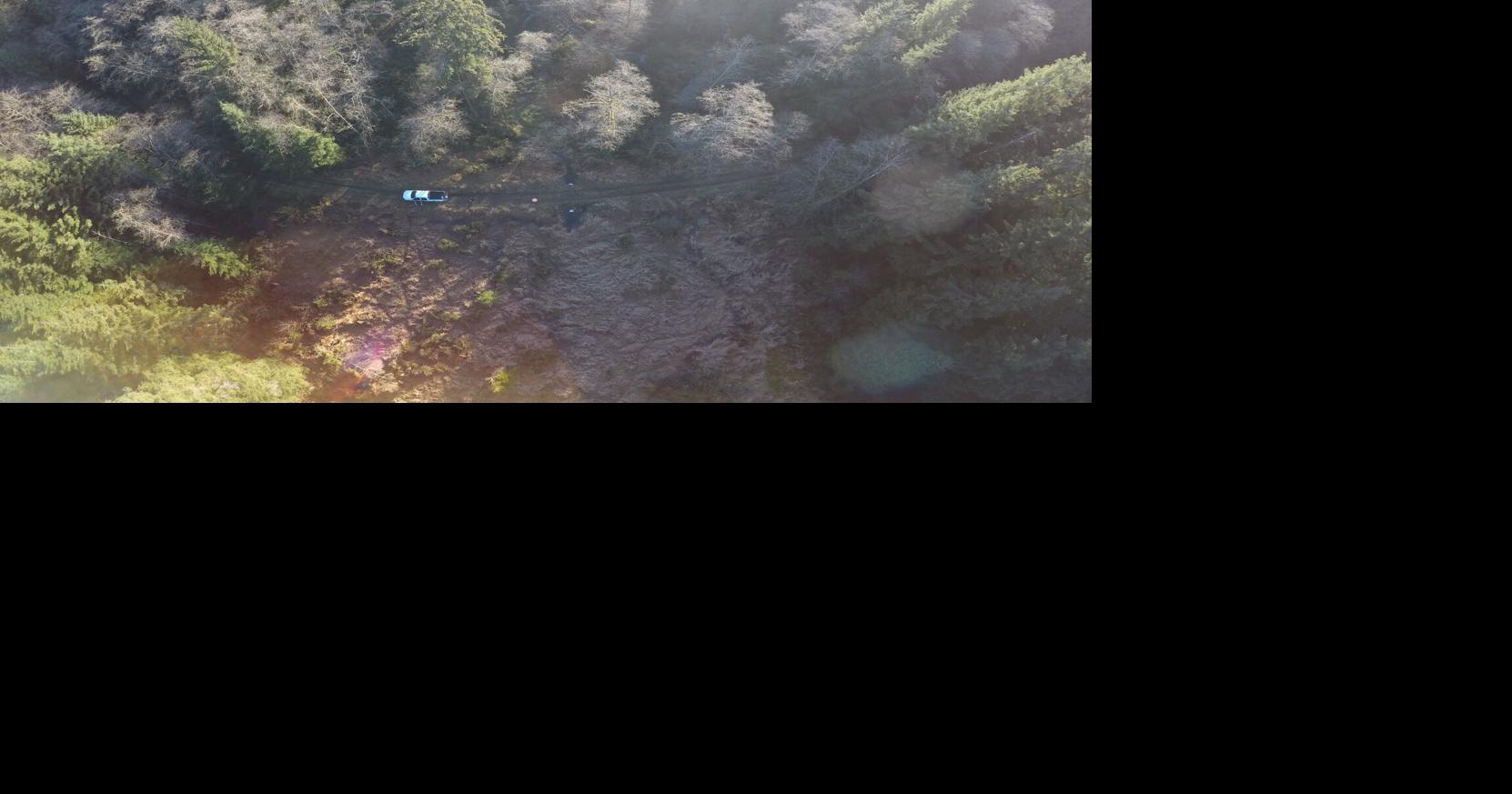 Oregon State Forests to plant 2.3 million seedlings in 2025 | News ...