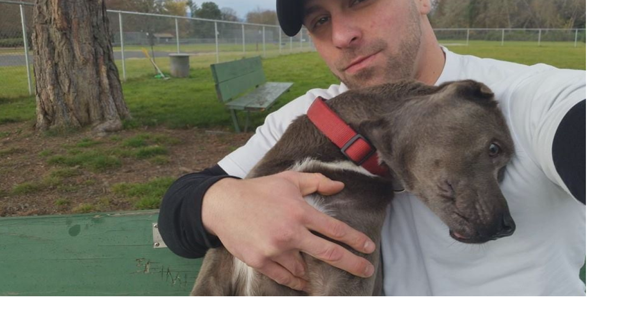 Local business leads team effort to sponsor dogs | News | kdrv.com