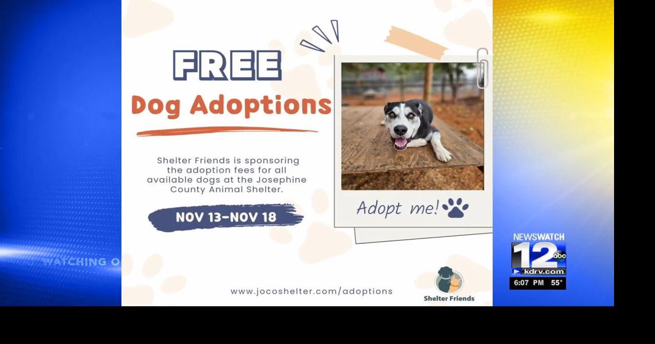 Josephine County animal shelter has free adoptions this week | Video ...