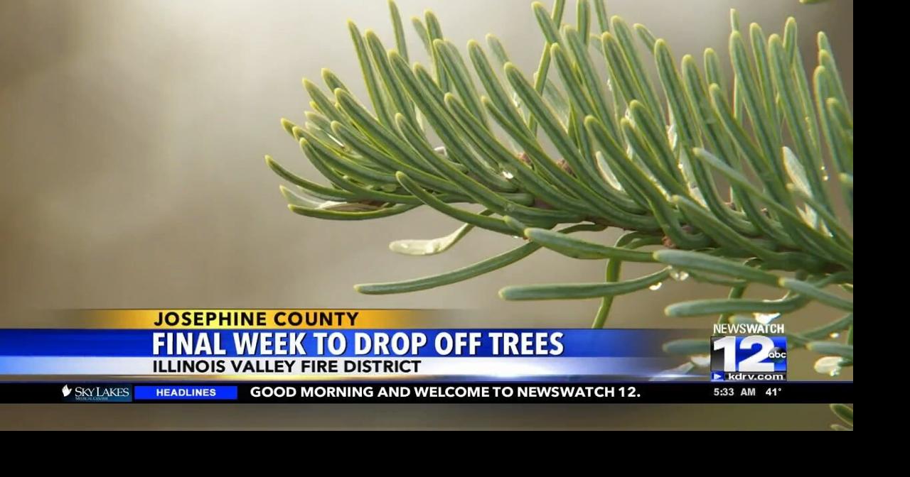 Final week to drop off trees | Video | kdrv.com