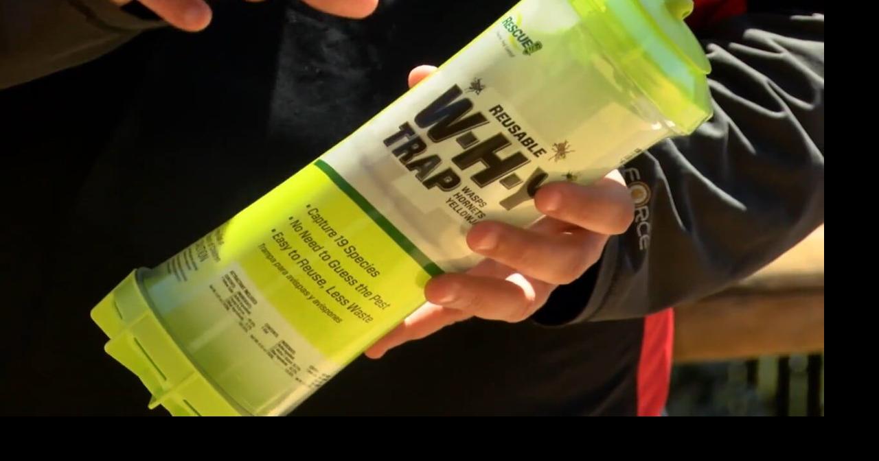 In The Garden: WHY traps | In The Garden | kdrv.com