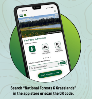 New national forests app offers offline maps and safety alerts | Local ...