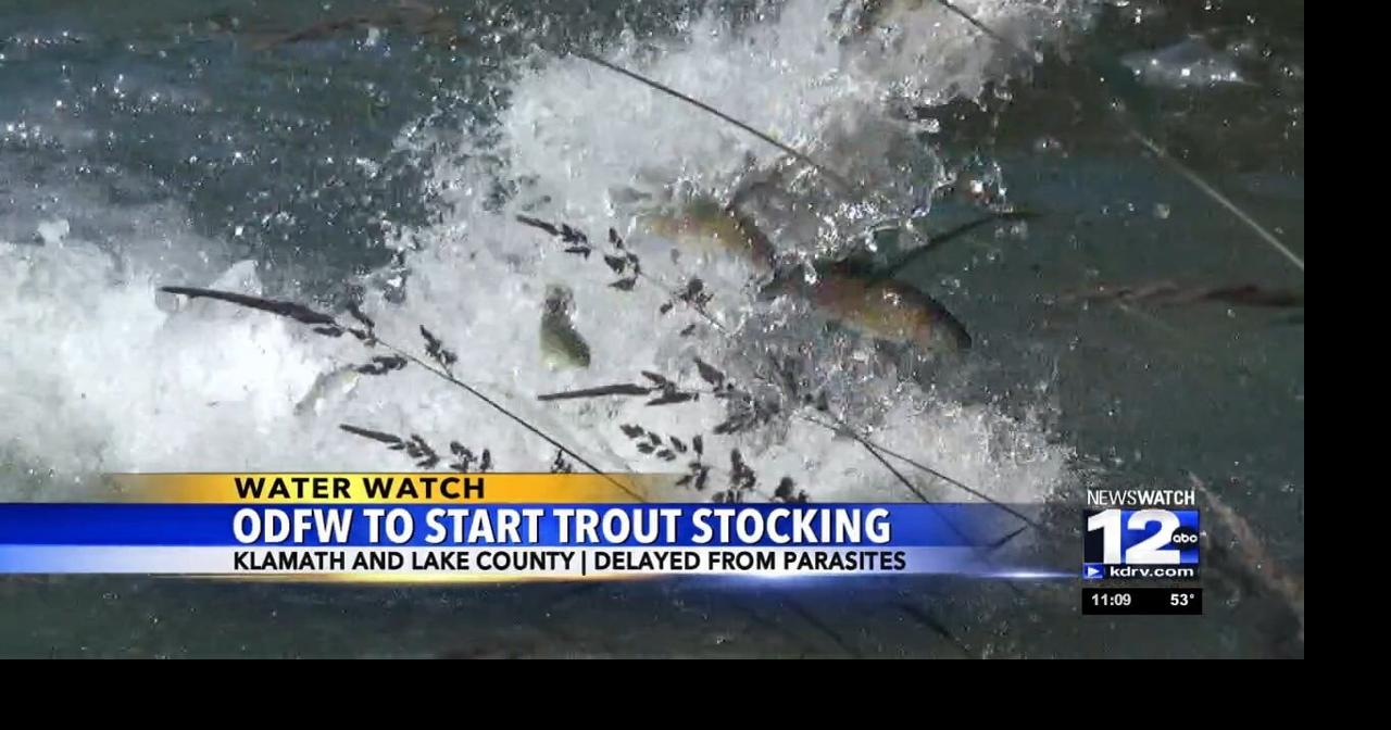 ODFW to start trout stocking | Video | kdrv.com