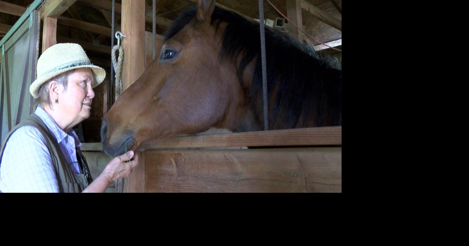 Free horse therapy changes lives for people suffering from trauma | Top ...