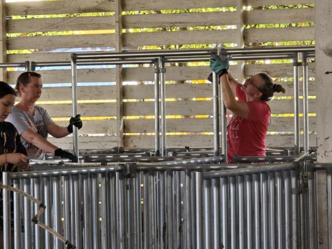 Pig pens returned to Josephine County Fairgrounds ahead of fair | Top ...