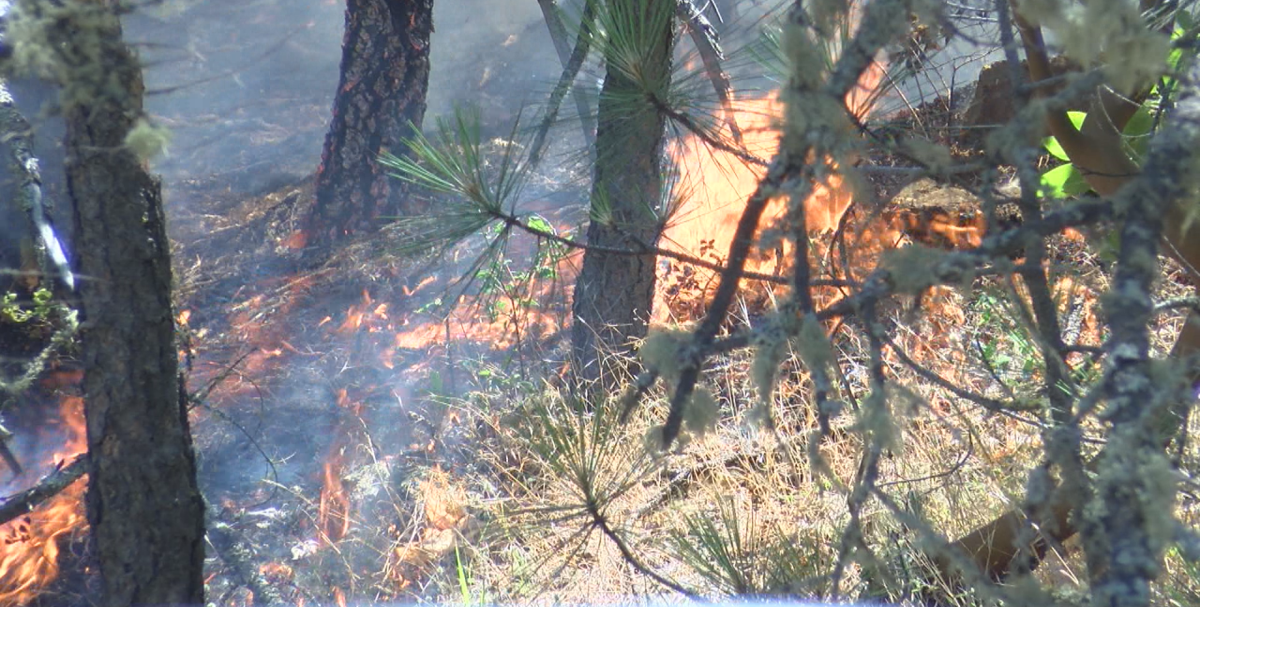 Upper Applegate Fire 85% lined, but what does 'lined' mean? | Top ...