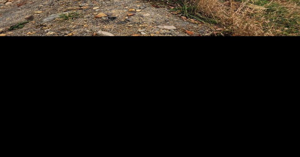 ODF image wildfire operations Kentucky where it's sending crew Nov 2023 ...