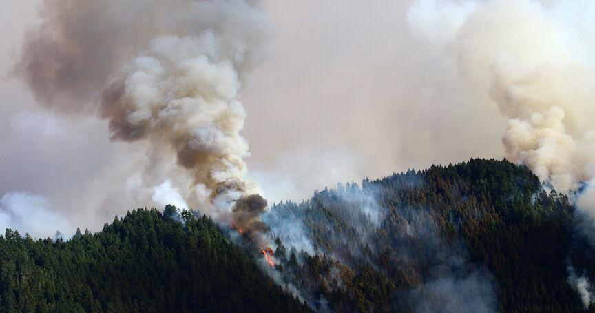 Jackson County is getting help from UO for wildfire smoke management ...