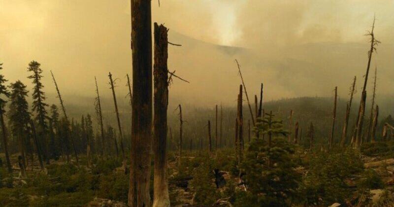 FireWatch: Antelope Fire burns 71,508 acres, 80% contained | Community ...