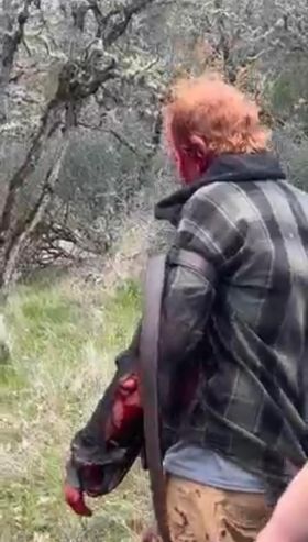 ODFW investigating alleged wolf attack in Gold Hill | Local | kdrv.com