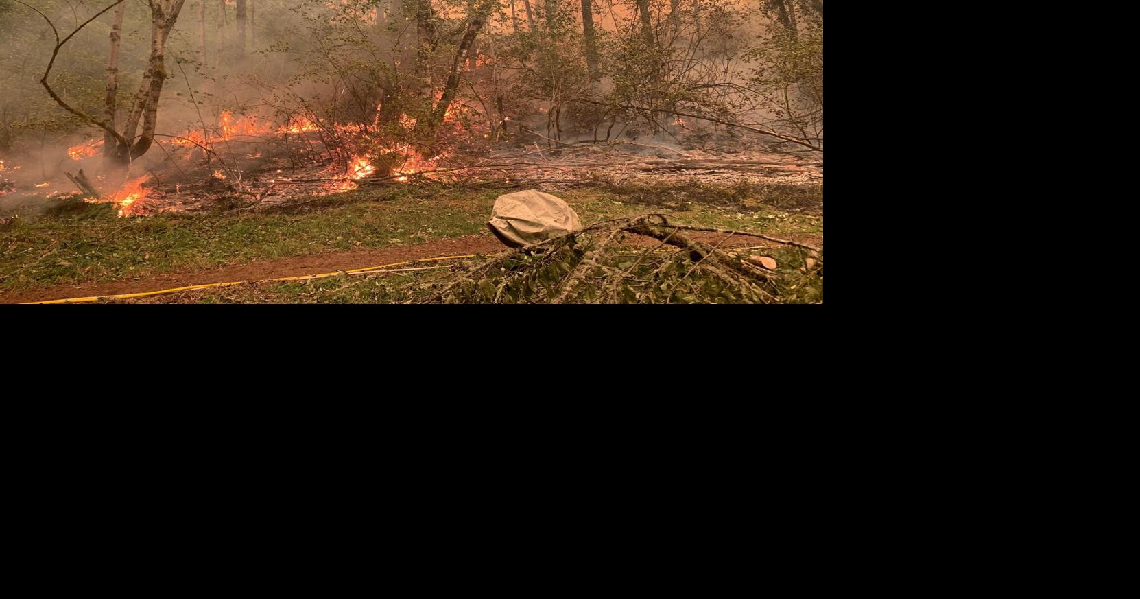 ODF issues $20 million for wildfire prevention projects on forest and ...