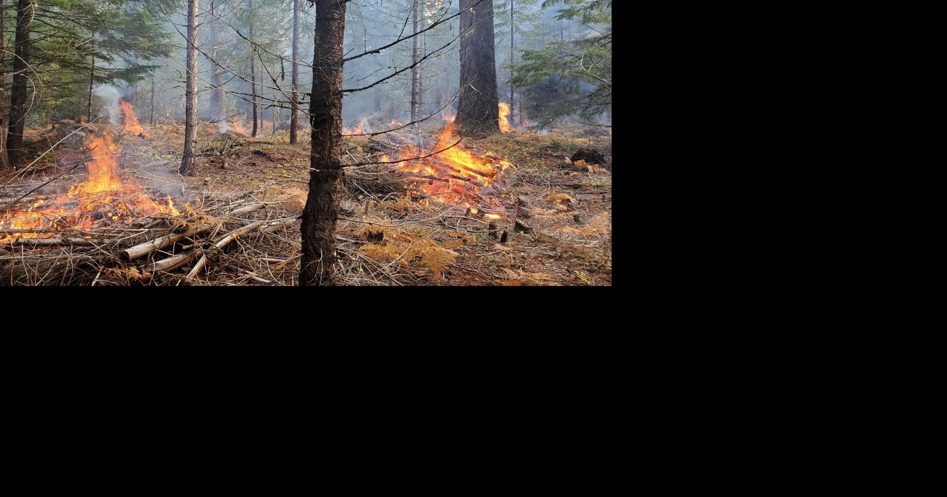 ODF awards $100,000 to Rogue River-Siskiyou National Forest to reduce ...
