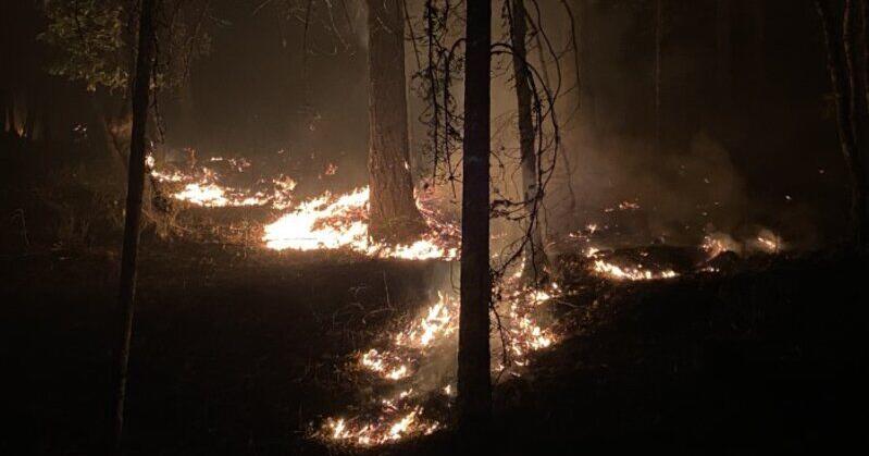 FireWatch: Fielder Creek Fire near Rogue River fully lined overnight ...