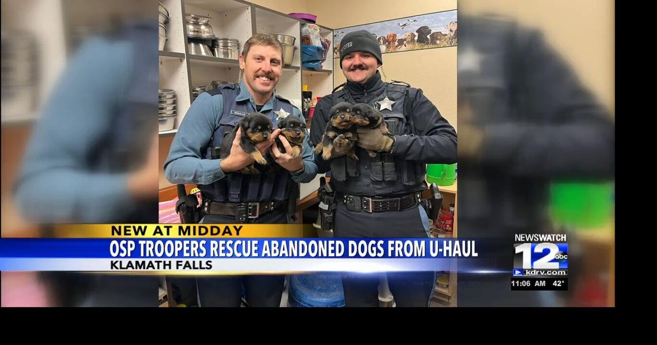 Police rescue abandoned dogs from U-Haul | Video | kdrv.com