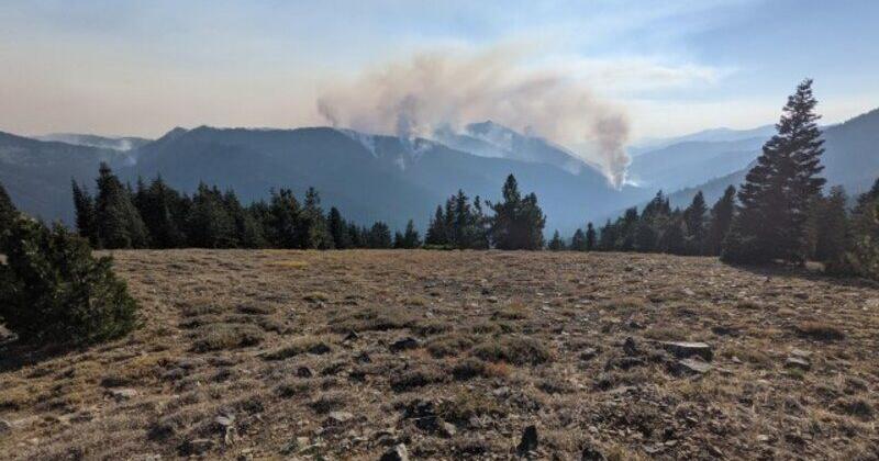 FireWatch: Containment rises on River Complex fires in southwestern ...