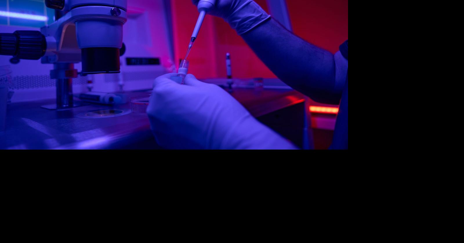 Scientists report creation of first human synthetic model embryos ...