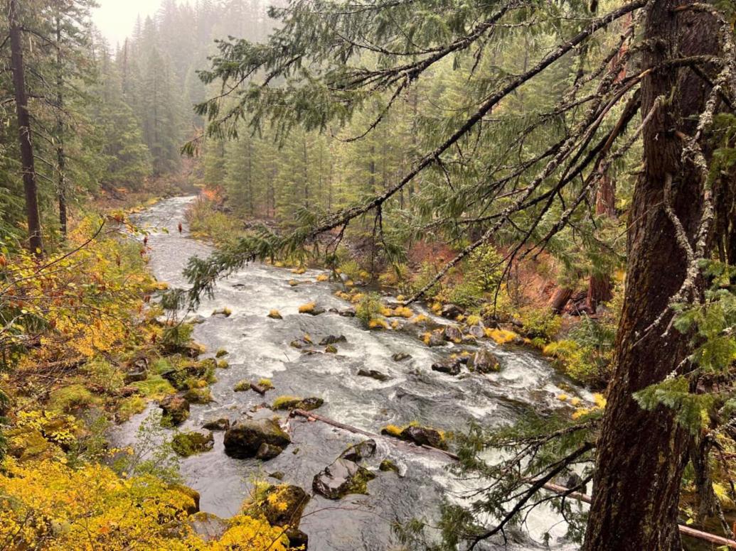 Forest Service signs shared stewardship agreement with tribe | Regional ...