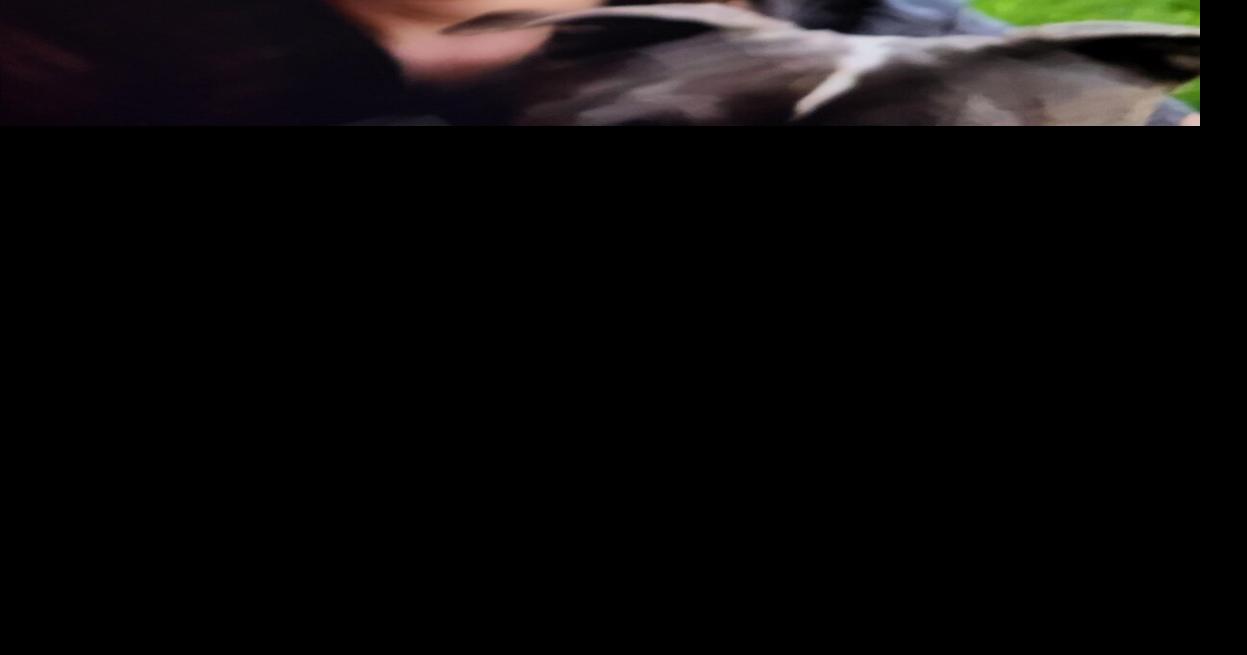 Police searching for missing 10-year-old girl in Grants Pass | CrimeWatch | kdrv.com