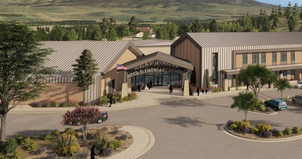 Mountain lion prompts call for action from Weed Elementary | Top ...