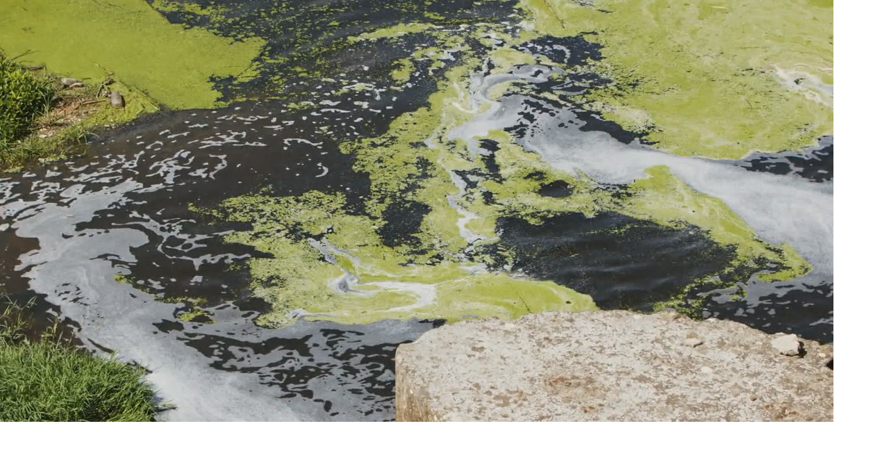 Oregon Health officials urge caution as toxic algae season approaches ...