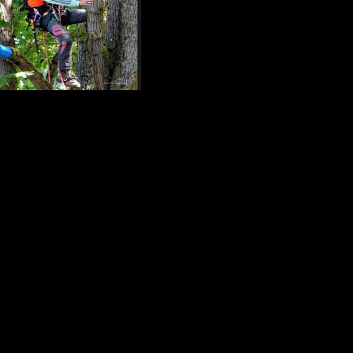 Grants Pass hosts regional tree climbing championship event | News ...