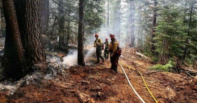 FireWatch: River Complex burns 197,989, 65% contained | Community ...
