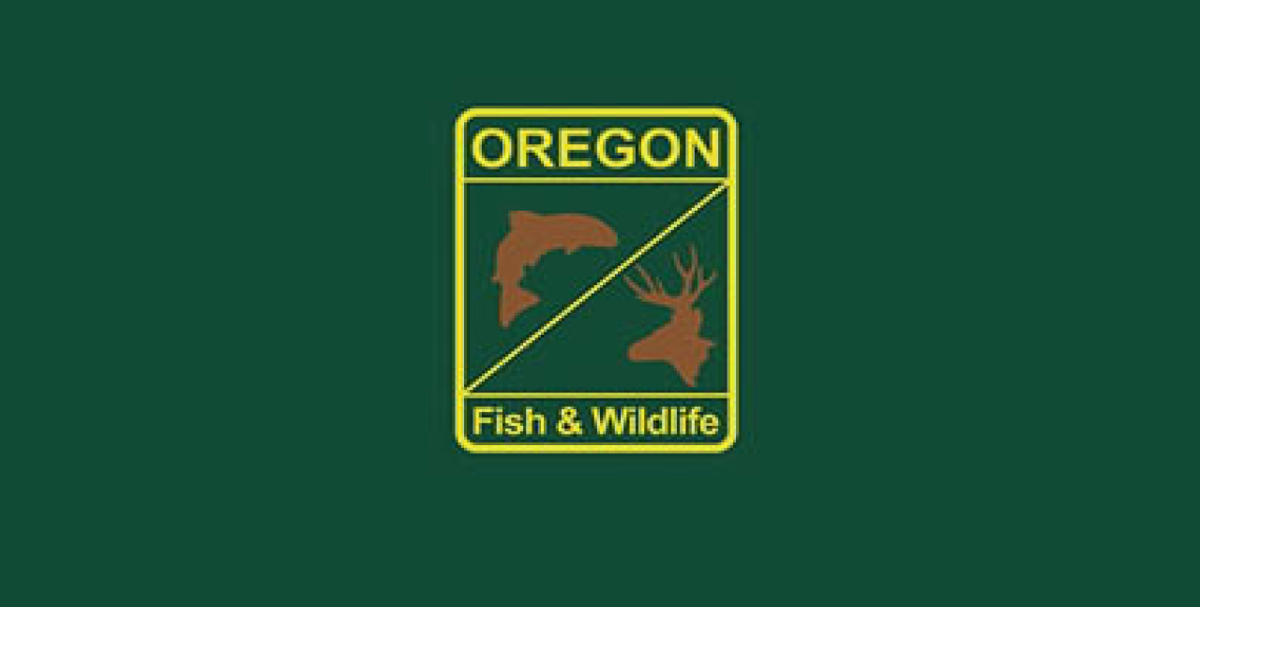ODFW seeks applicants for Fish Screening and Fish Passage Task Forces ...