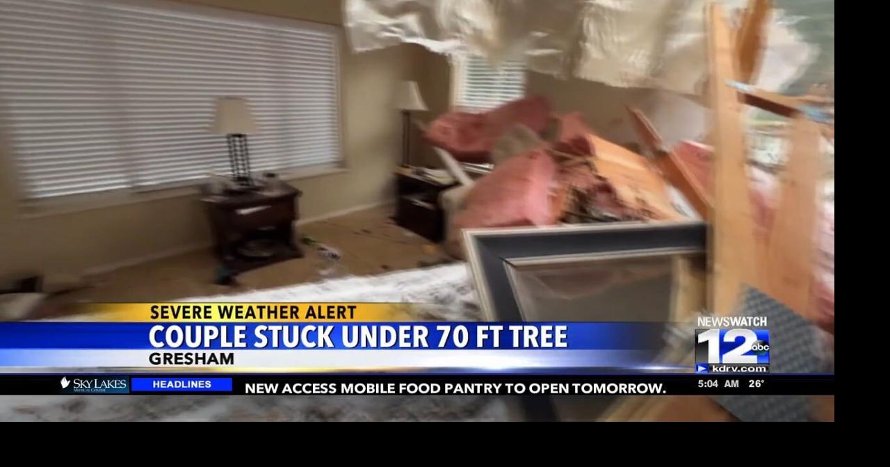 Couple stuck under 70-foot tree in Gresham | Video | kdrv.com