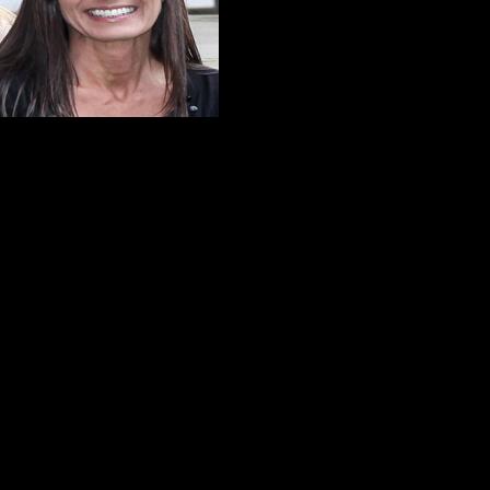 Kim Wallan announces reelection campaign | Local | kdrv.com