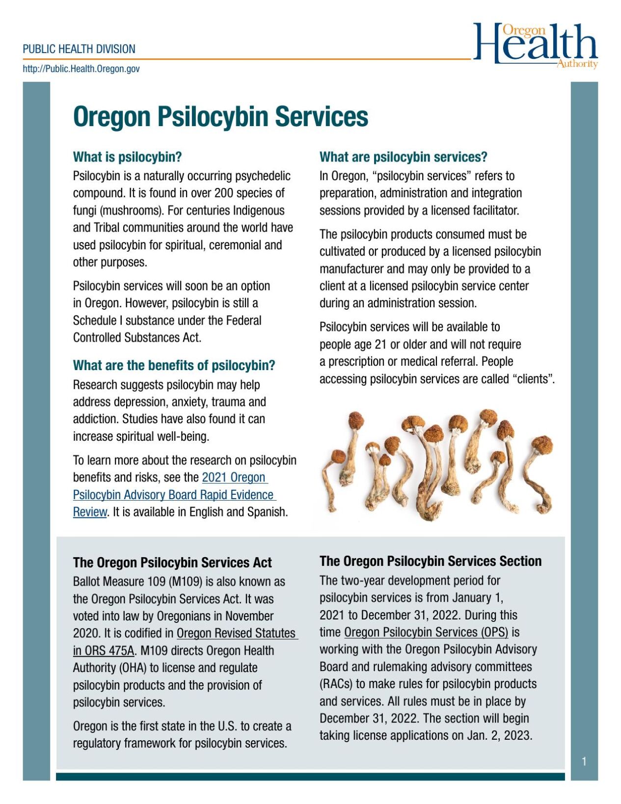 OHA issues first psilocybin service center license | HealthWatch | kdrv.com