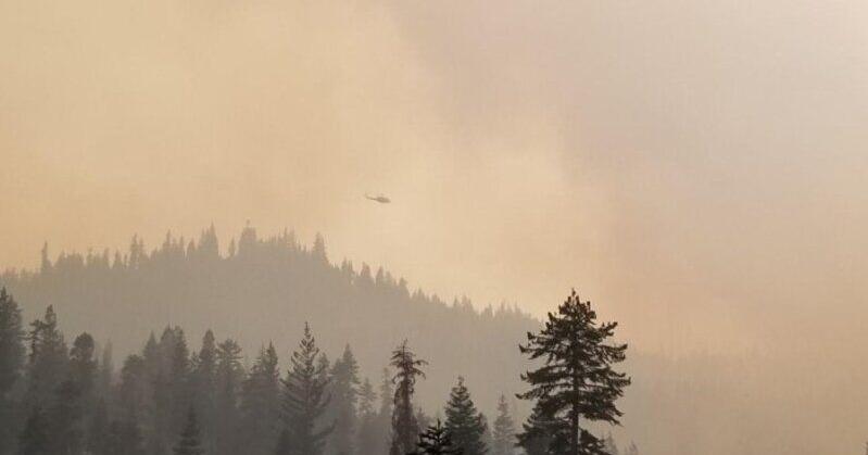 Heat and winds challenge firefighters on Antelope Fire, River Complex ...