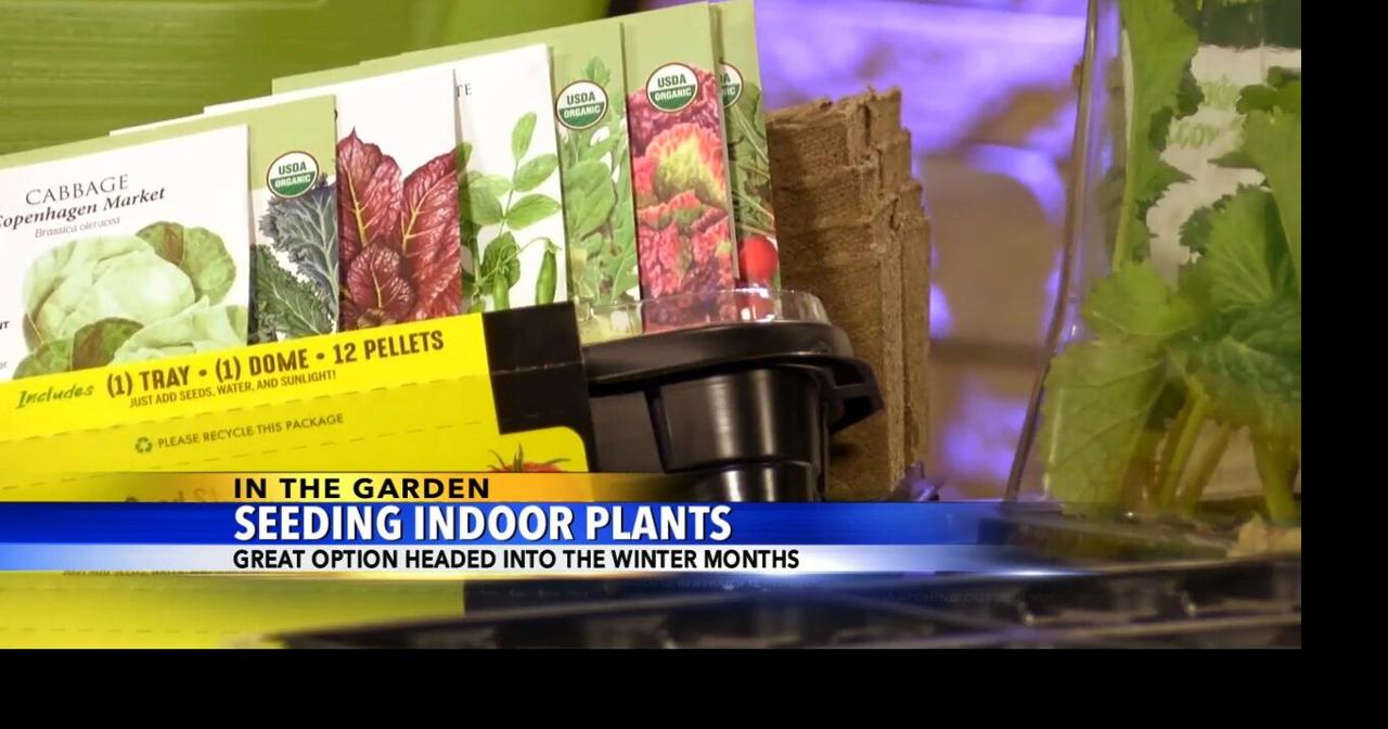 In The Garden: Fall indoor seeding | In The Garden | kdrv.com