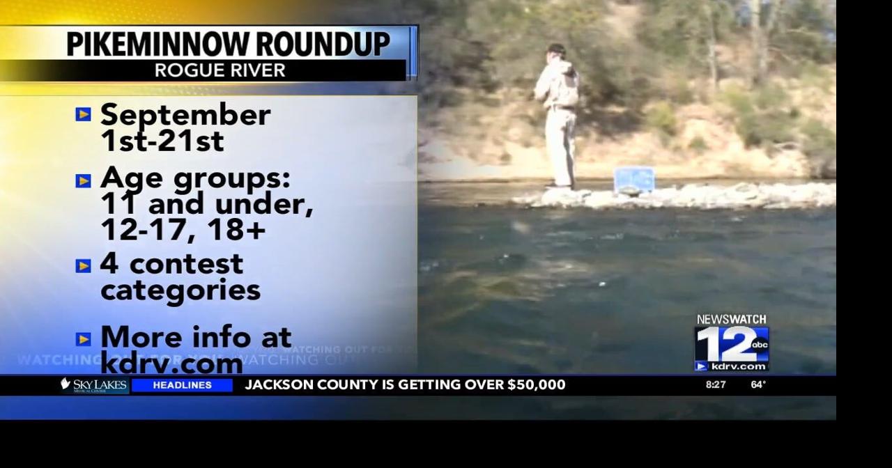 ODFW's Rogue River Round Up starts September 1st. | Video | kdrv.com