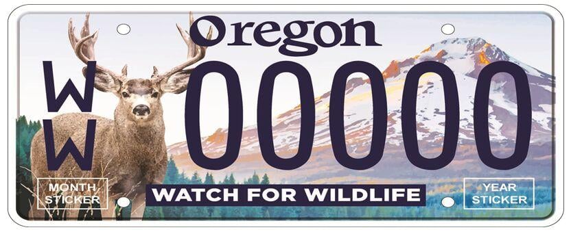 Wildlife license plates start this week | News | kdrv.com