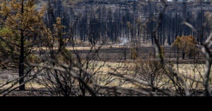 FireWatch: An end to fire season on lands protected by the Oregon ...