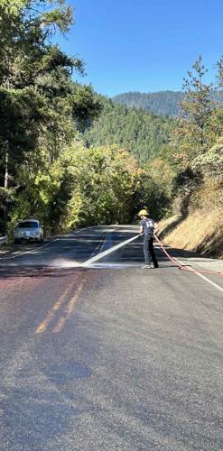 Not all emergencies are fires - mysterious grape spill on road causes ...