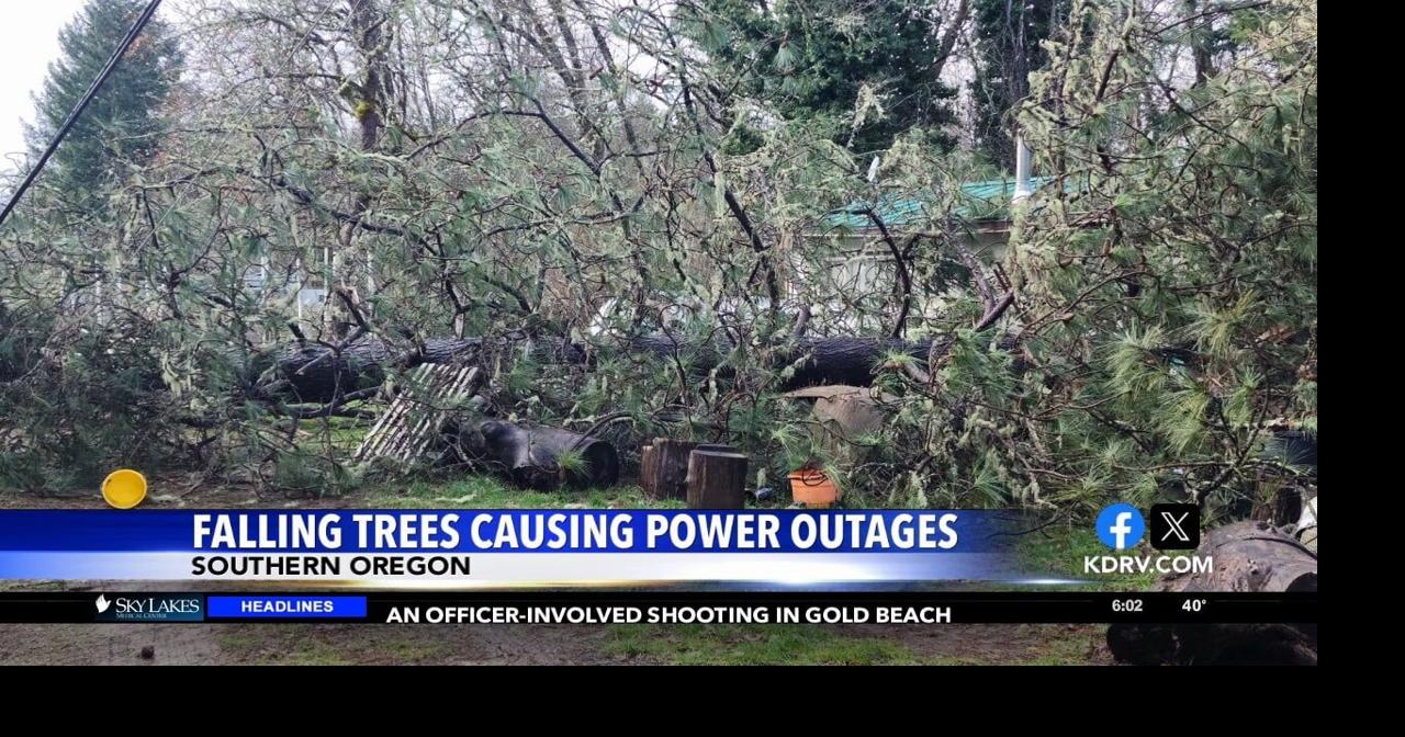 Fallen tree traps Cave Junction resident inside home | Video | kdrv.com