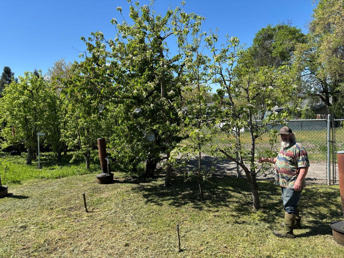 Rising fuel costs push Oregon farmers to raise prices | Top Stories ...