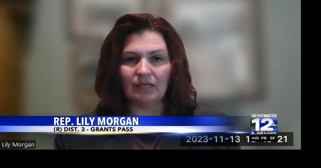 State Rep. Lily Morgan reflects on decision to quit for city manager ...