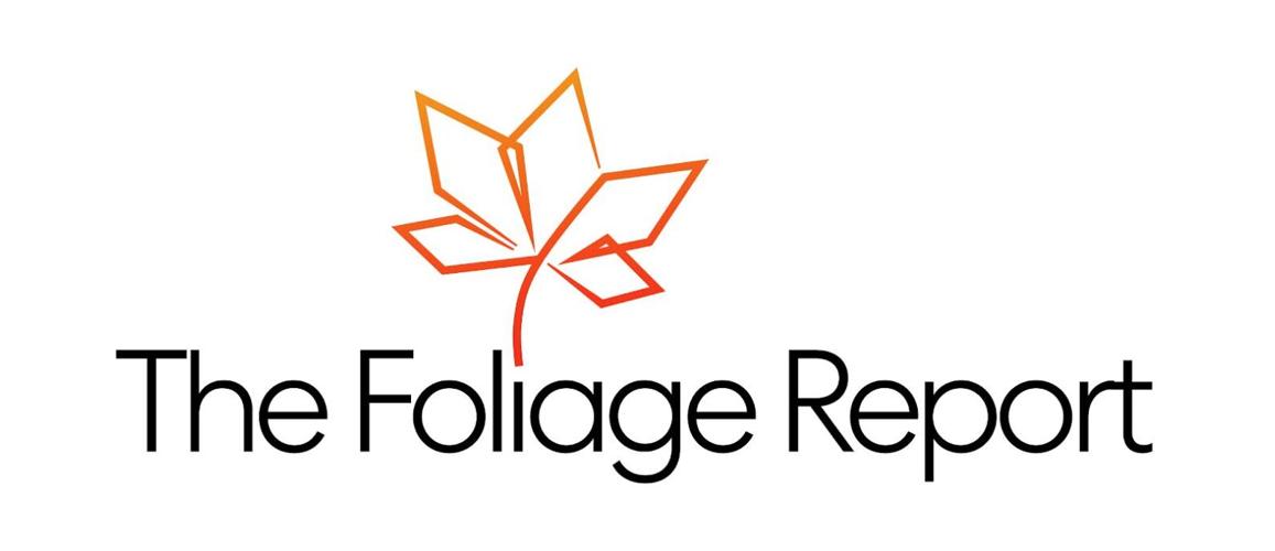 Foliage forecast shows low to no color change in areas this fall | News ...