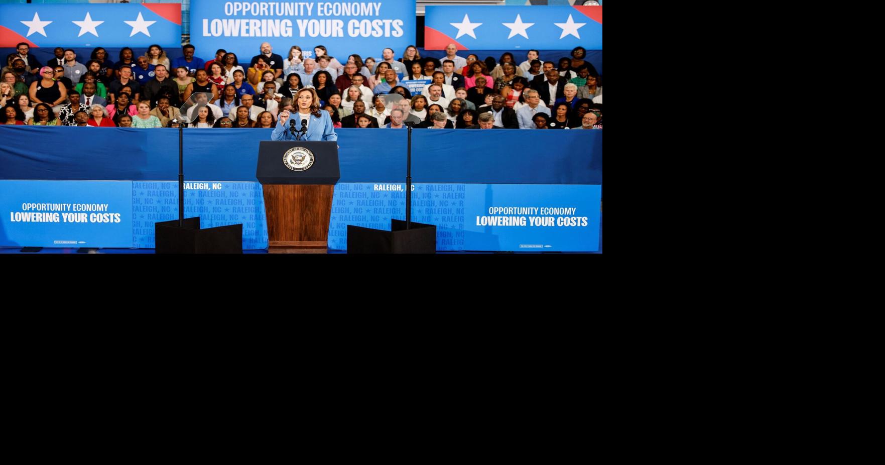 Harris’ plan to stop price gouging could create more problems than it ...