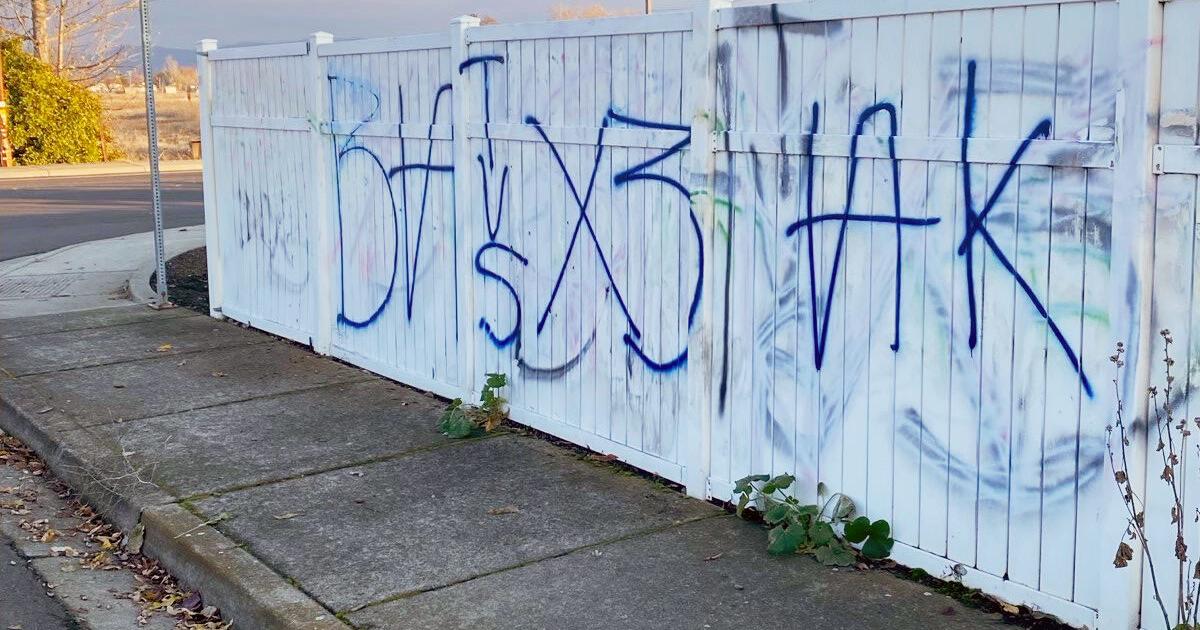 Suspects' graffiti became cases that involve illegal guns and drugs ...