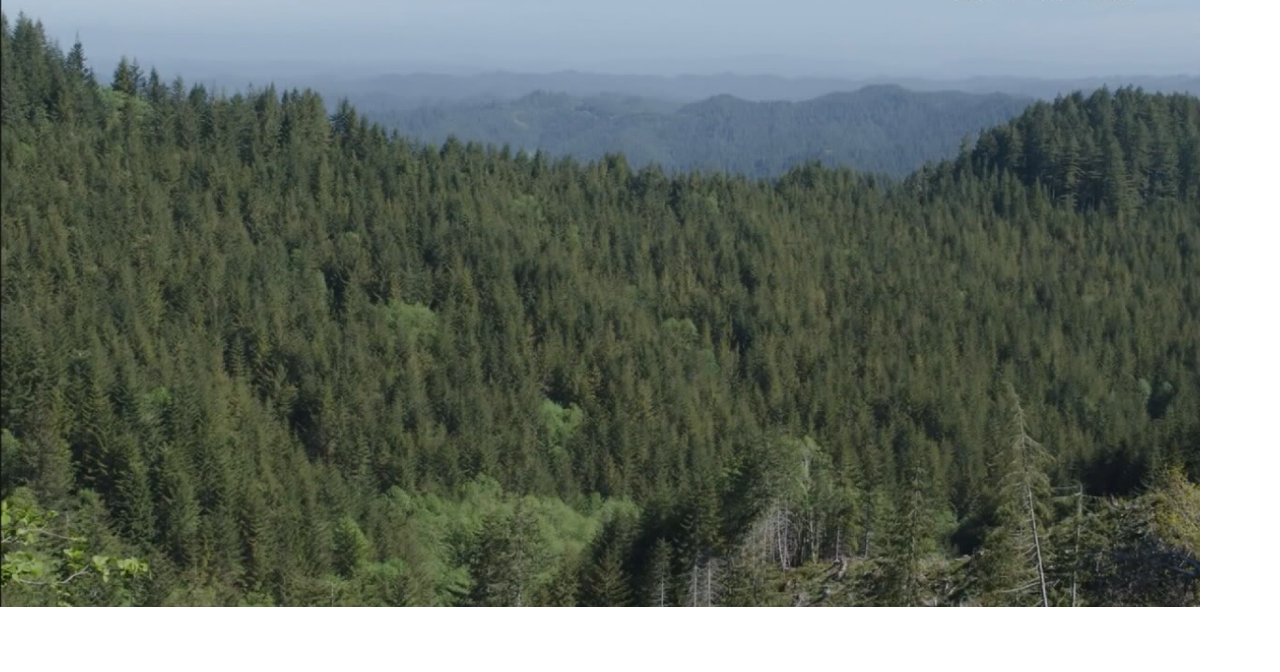 Three conservation groups challenging BLM forest plan in Medford ...