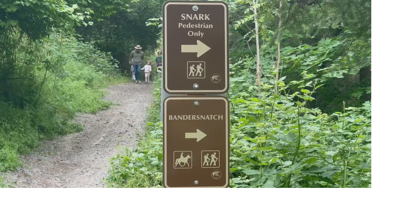 Ashland helicopter logging project ends, opening back up hiking trails ...
