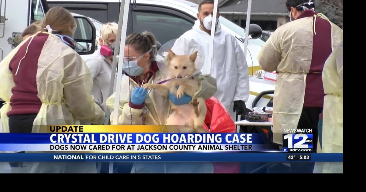 Crystal Drive dog hoarding update | Video | kdrv.com