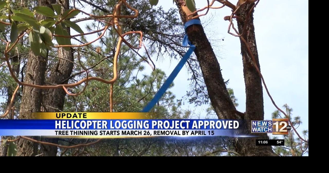Helicopter logging project approved | Video | kdrv.com
