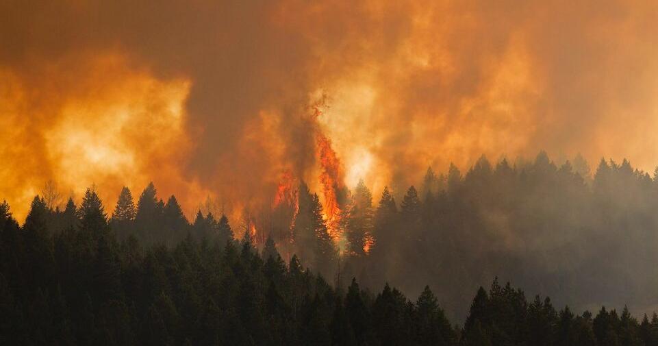 USFS ready for comments about proposed changes to its Northwest Forest ...